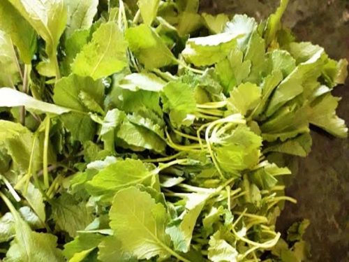 Punjabi Sarson Ka Saag | Sarson Da Saag Recipe - My Dainty Kitchen